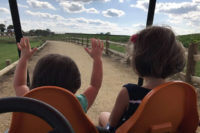 Attractions - Fun Favorites for All Ages | Cherry Crest Adventure Farm